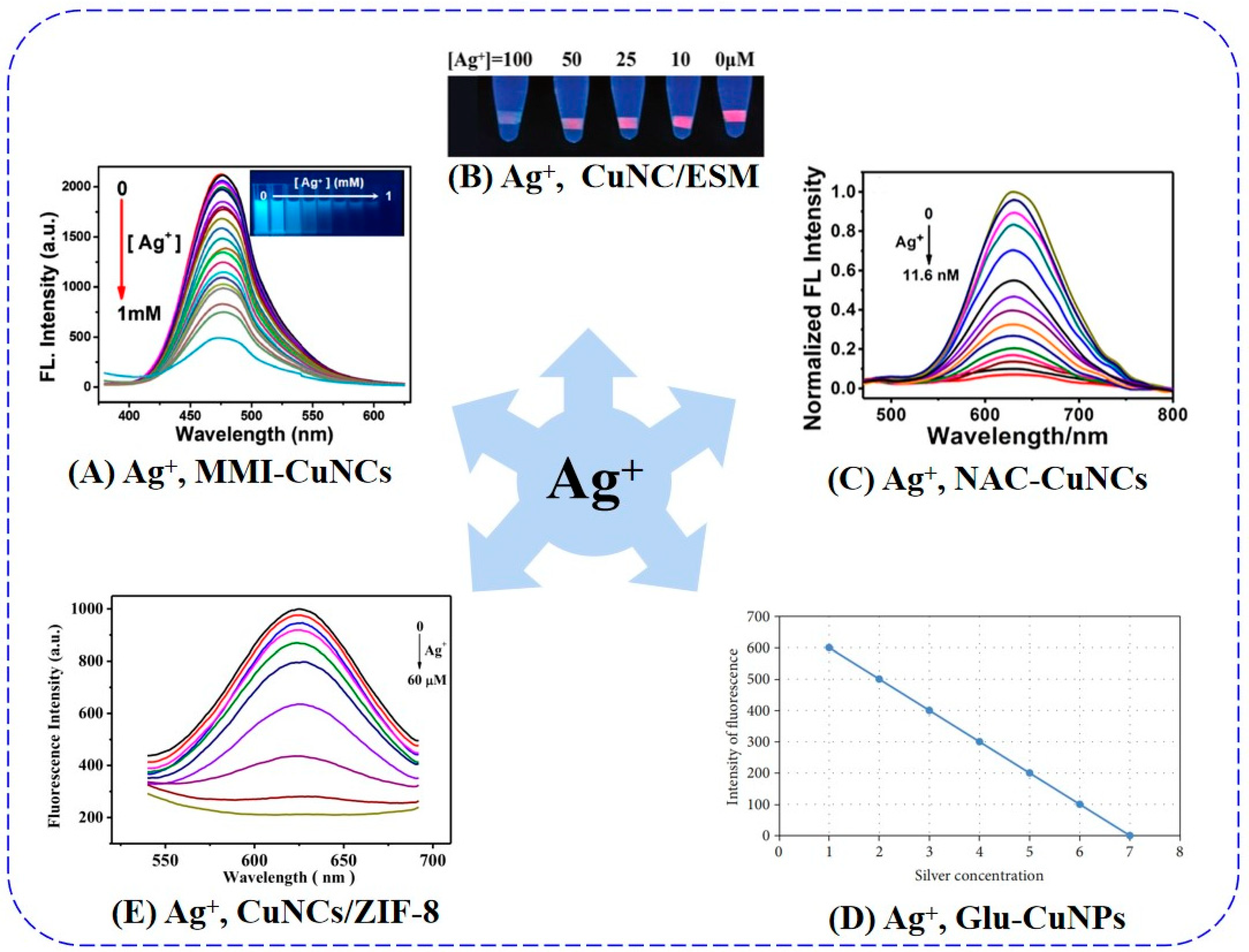 Chemosensors | Free Full-Text | Rational Design Copper Nanocluster-Based Fluorescent Sensors ...