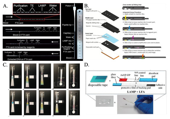 Chemosensors | Free Full-Text | Paper-Based Loop Mediated Isothermal Amplification (LAMP ...