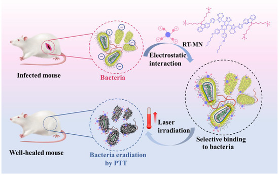 Near-Infrared Molecular Photosensitizer Decorated with Quaternary Ammonium for High-Efficiency ...