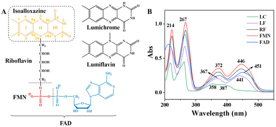 Surface-Enhanced Raman Spectroscopic Analysis of Flavoenzyme Cofactors ...