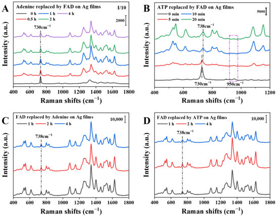 Surface-Enhanced Raman Spectroscopic Analysis of Flavoenzyme Cofactors ...