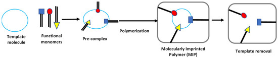 Molecularly Imprinted Plasmonic Sensors as Nano-Transducers: An ...