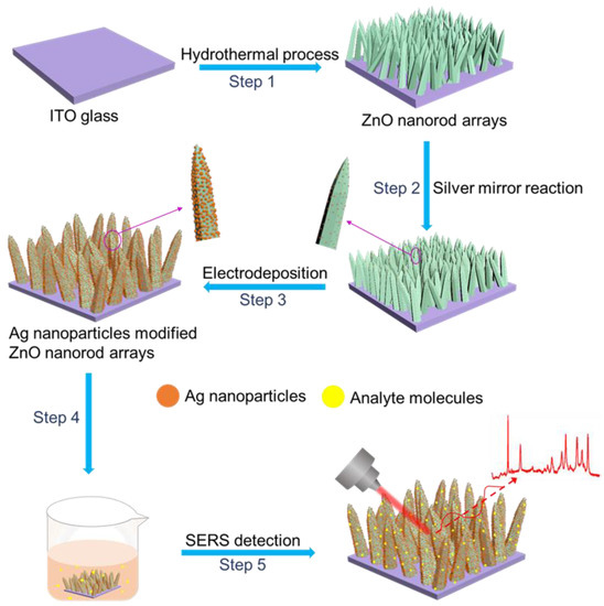 Fabrication of Vertically Aligned ZnO Nanorods Modified with Dense Silver Nanoparticles as ...