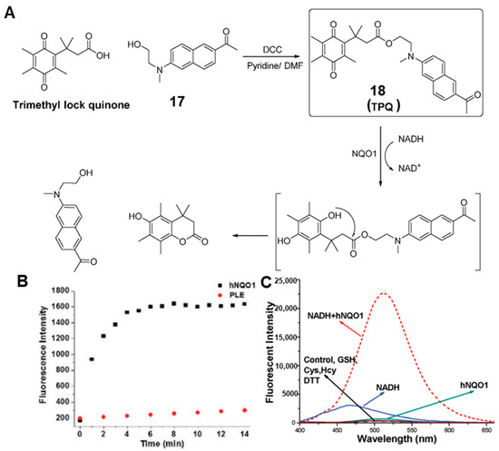 Trimethyl Lock Quinone-Based Organic Molecular Probes for NQO1 Sensing and Imaging