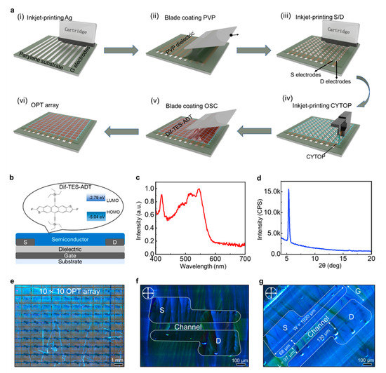 Chemosensors | Free Full-Text | Fully Printed Organic Phototransistor ...