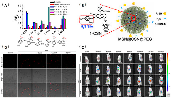 Recent Advances in Small Molecular Fluorescence Probes for Fatty Liver ...
