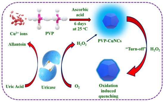 Highly Selective Uricase-Based Quantification of Uric Acid Using ...
