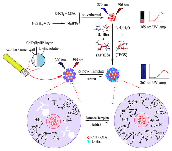 Research Progress on Chiral Supramolecular Sensors for Enantiomer Detection