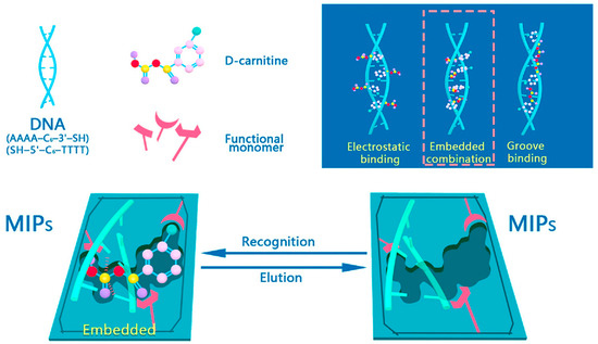 Research Progress on Chiral Supramolecular Sensors for Enantiomer Detection