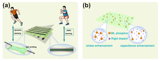 Dual-Mode Stretchable Sensor Array with Integrated Capacitive and Mechanoluminescent Sensor Unit ...