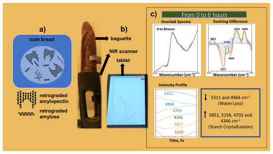 Handheld Near-Infrared Spectroscopy: State-of-the-Art Instrumentation ...