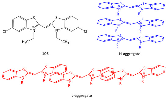 Fluorescent Probes for Biomacromolecules Based on Monomethine Cyanine Dyes