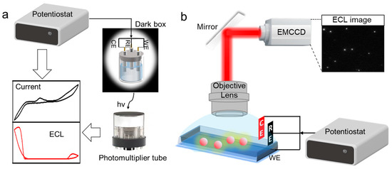 Recent Advances in Electrochemiluminescence-Based Single-Cell Analysis