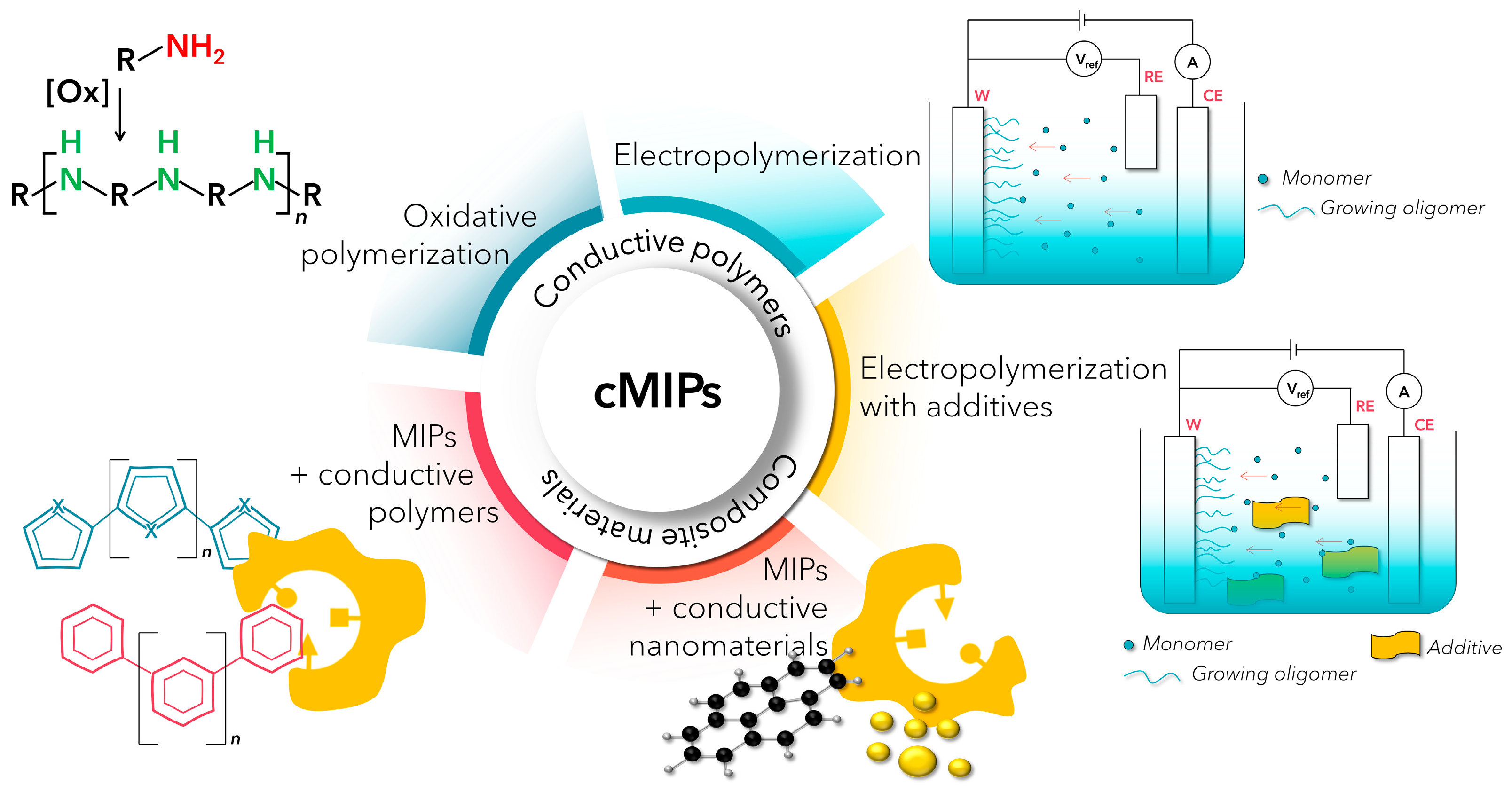 Conductive Molecularly Imprinted Polymers (cMIPs): Rising and Versatile ...