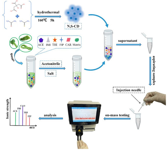 Recent Advances for Imidacloprid Detection Based on Functional ...