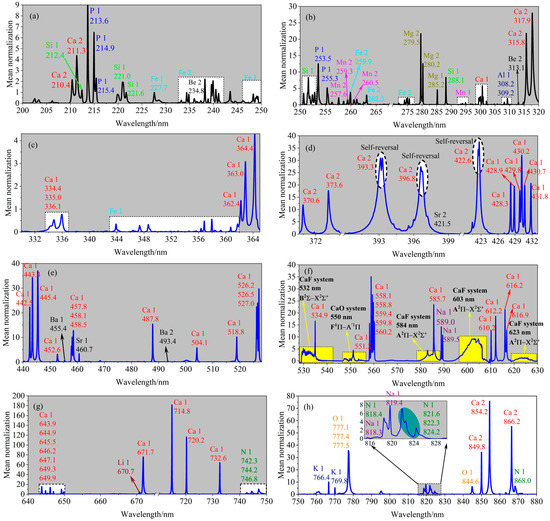 LIBS-MLIF Method: Stromatolite Phosphorite Determination