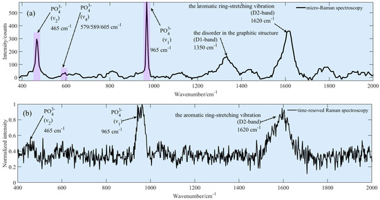 LIBS-MLIF Method: Stromatolite Phosphorite Determination