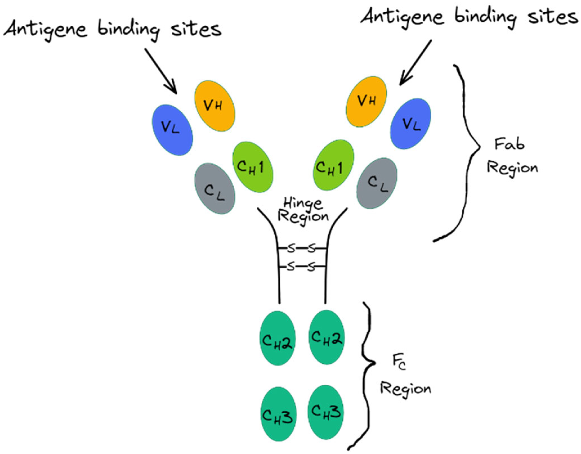Recent Progresses in Plasmonic Biosensors for Point-of-Care (POC ...