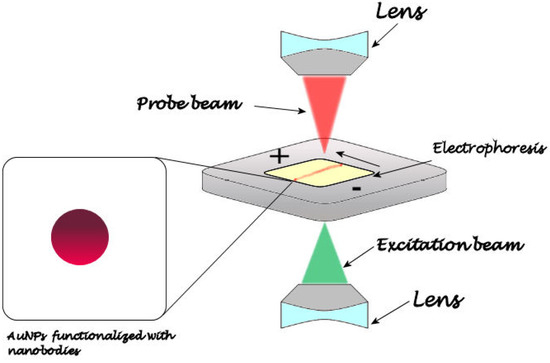 Recent Progresses in Plasmonic Biosensors for Point-of-Care (POC ...