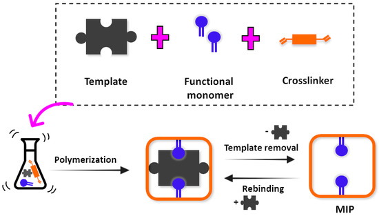 Molecularly Imprinted Plasmonic Sensors for the Determination of Environmental Water ...