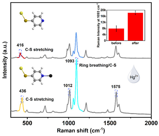 Recyclable Multifunctional Magnetic Fe3O4@SiO2@Au Core/Shell Nanoparticles for SERS Detection of ...