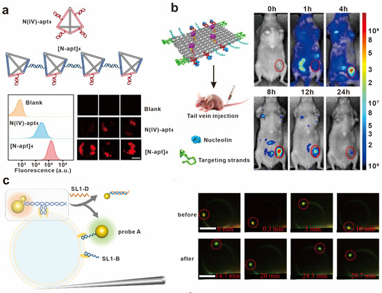 DNA-Programmed Biomolecular Spatial Pattern Recognition