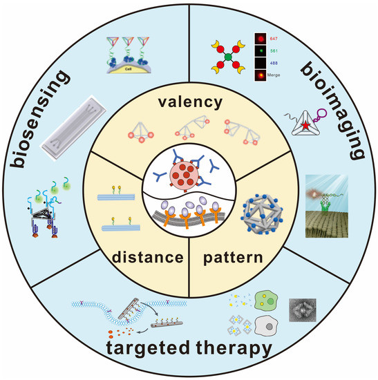 Chemosensors | Free Full-Text | DNA-Programmed Biomolecular Spatial Pattern Recognition