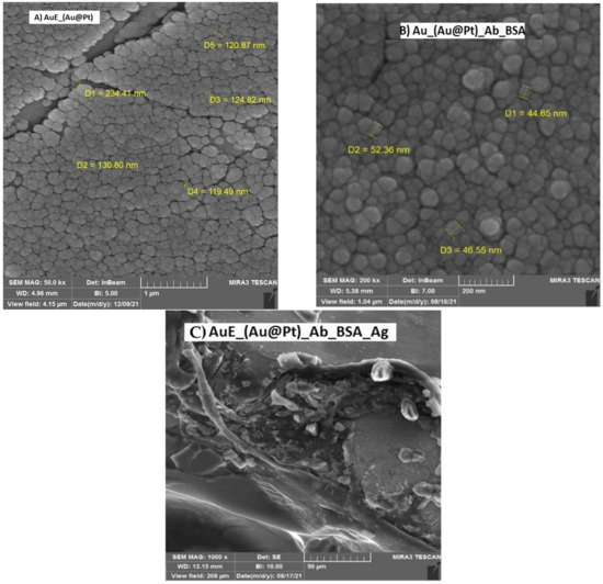 An Innovative Electrochemical Immuno-Platform for Monitoring Chronic ...