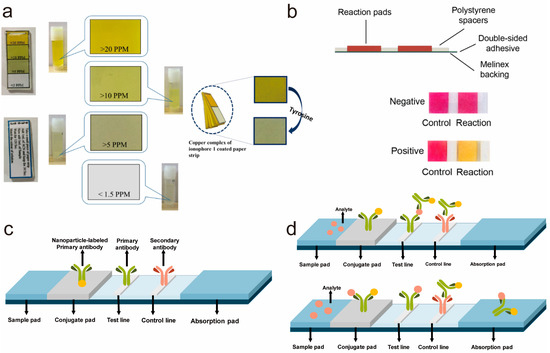 Recent Advances and Perspectives Regarding Paper-Based Sensors for ...
