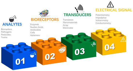 Enzymatic Electrochemical Biosensors for Neurotransmitters Detection ...