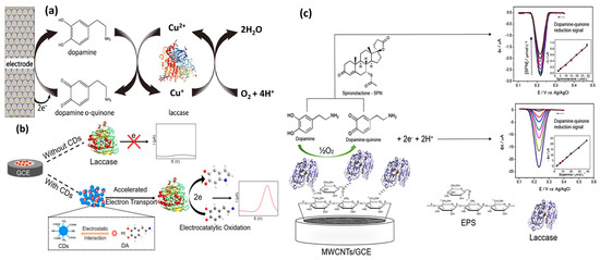 Enzymatic Electrochemical Biosensors for Neurotransmitters Detection ...