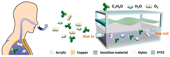 Current Status and Prospect of Diabetes Diagnosis and Treatment Based ...