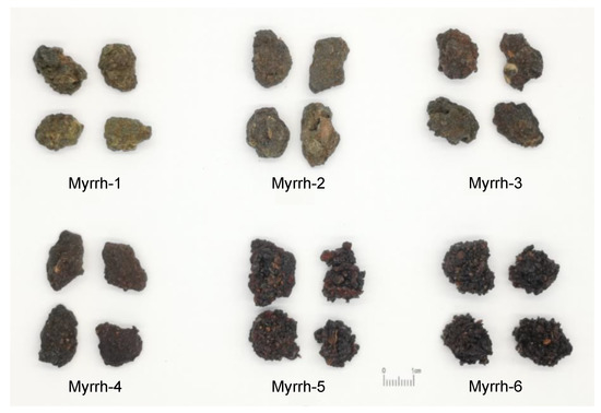 Improved Recognition Accuracy of Myrrh Decoction Pieces by Electronic ...