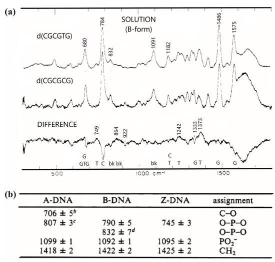 Conventional Raman, SERS and TERS Studies of DNA Compounds