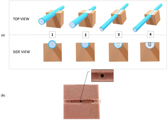 MIP-Assisted 3-Hole POF Chip Faced with SPR-POF Sensor for Glyphosate ...