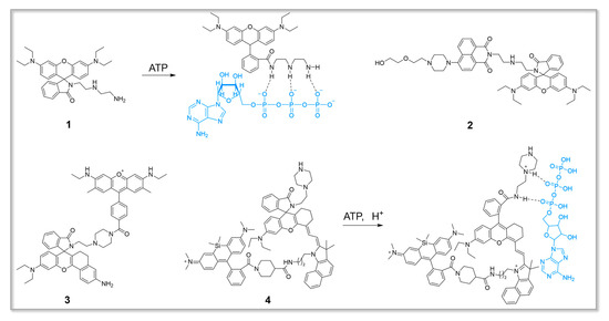 Recent Advances in Design Strategies and Imaging Applications of ...