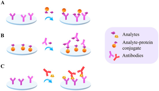 Optical Immunosensors for Bacteria Detection in Food Matrices