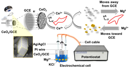 Fabrication of Electrochemical Sensor for the Detection of Mg(II) Ions ...