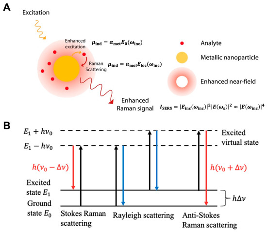 Chemosensors | Free Full-Text | Recent Advances in Rational Design and Engineering of Signal ...