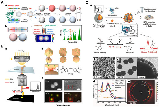 Chemosensors | Free Full-Text | Recent Advances in Rational Design and Engineering of Signal ...