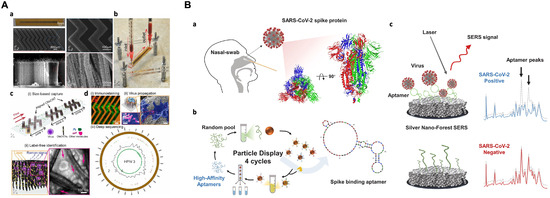 Chemosensors | Free Full-Text | Recent Advances in Rational Design and Engineering of Signal ...