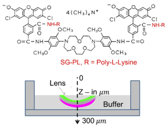 Remote Measurements of Tear Electrolyte Concentrations on Both Sides of ...