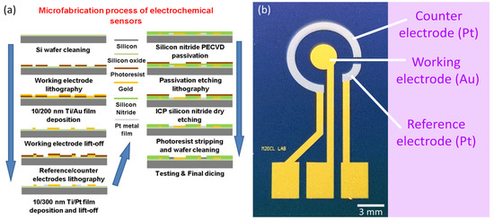 Chemosensors Free Full Text Anodic Stripping Voltammetric