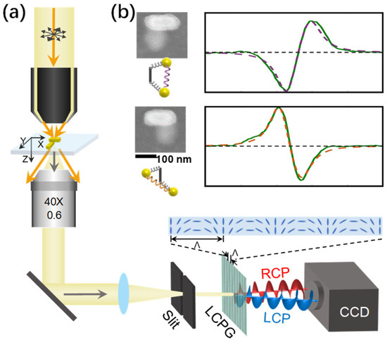 Chemical Sensing and Analysis with Optical Nanostructures