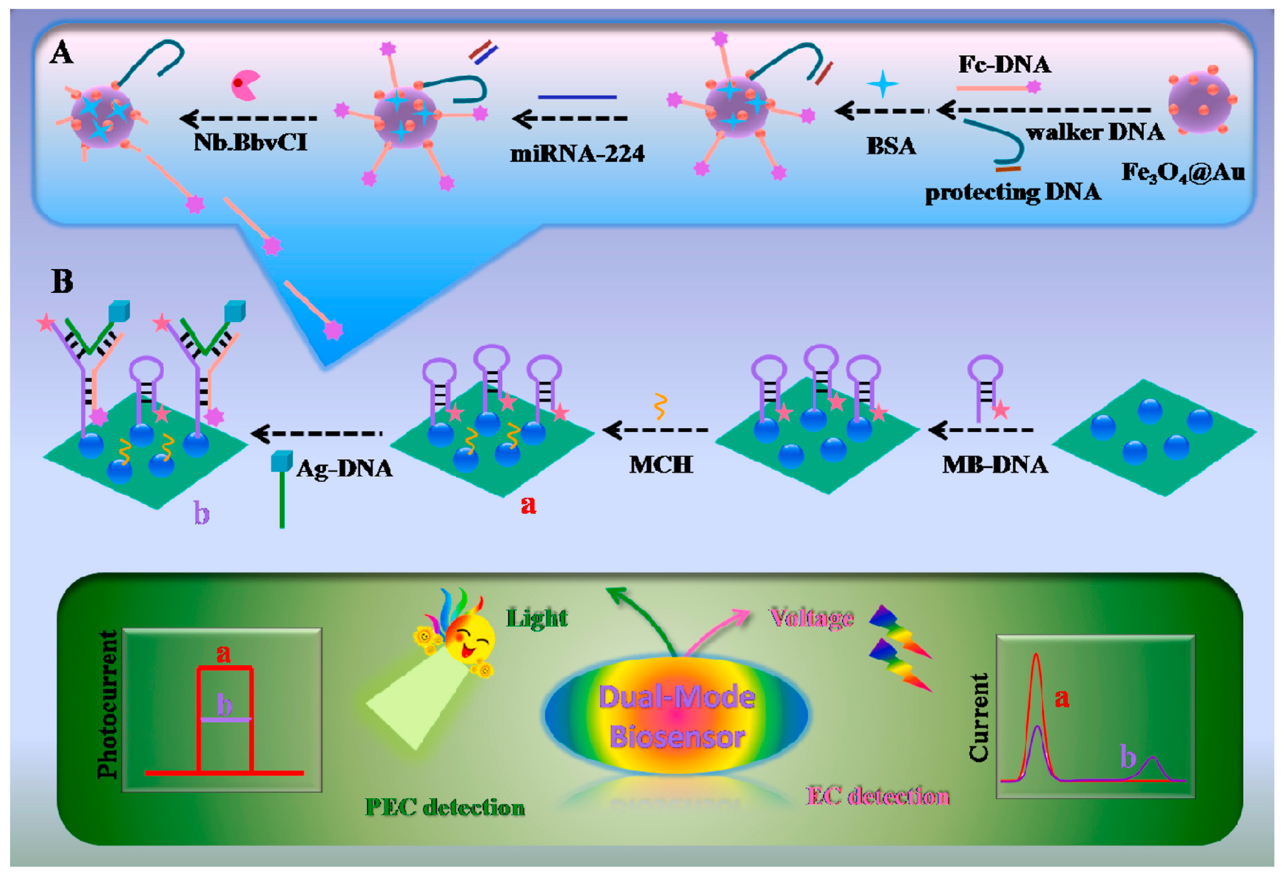 MicroRNA Biosensors for Early Detection of Hepatocellular Carcinoma