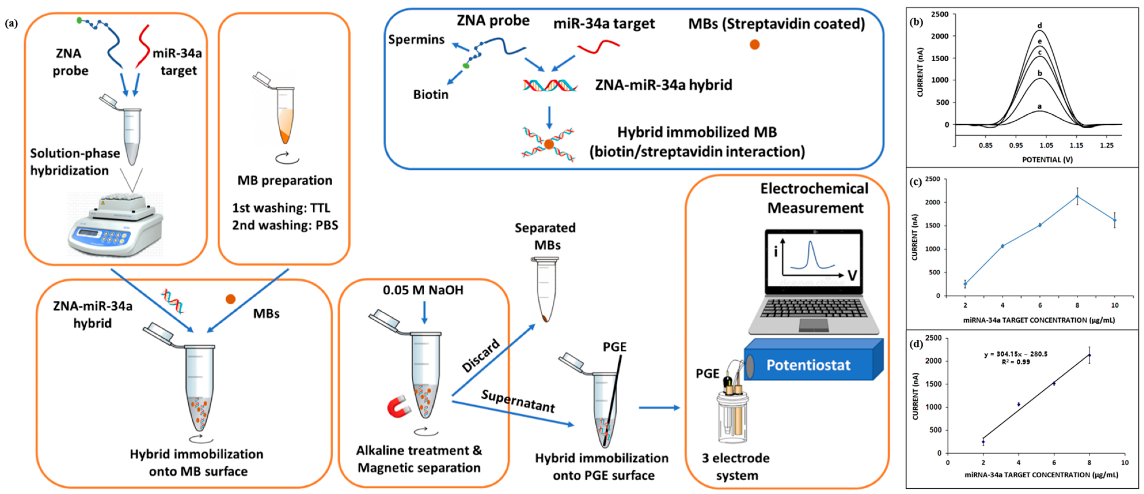 Chemosensors | Free Full-Text | MicroRNA Biosensors for Early Detection ...