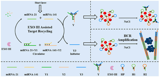 MicroRNA Biosensors for Early Detection of Hepatocellular Carcinoma