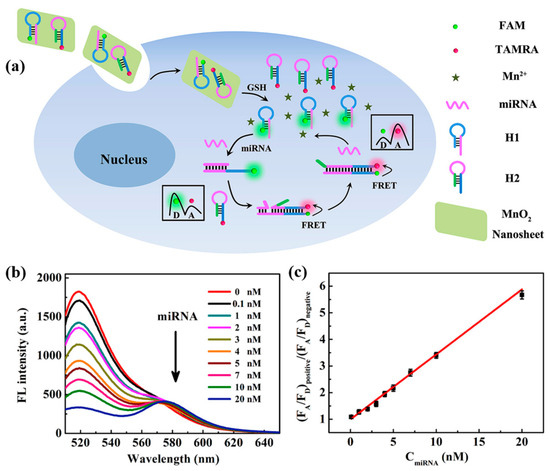 MicroRNA Biosensors for Early Detection of Hepatocellular Carcinoma
