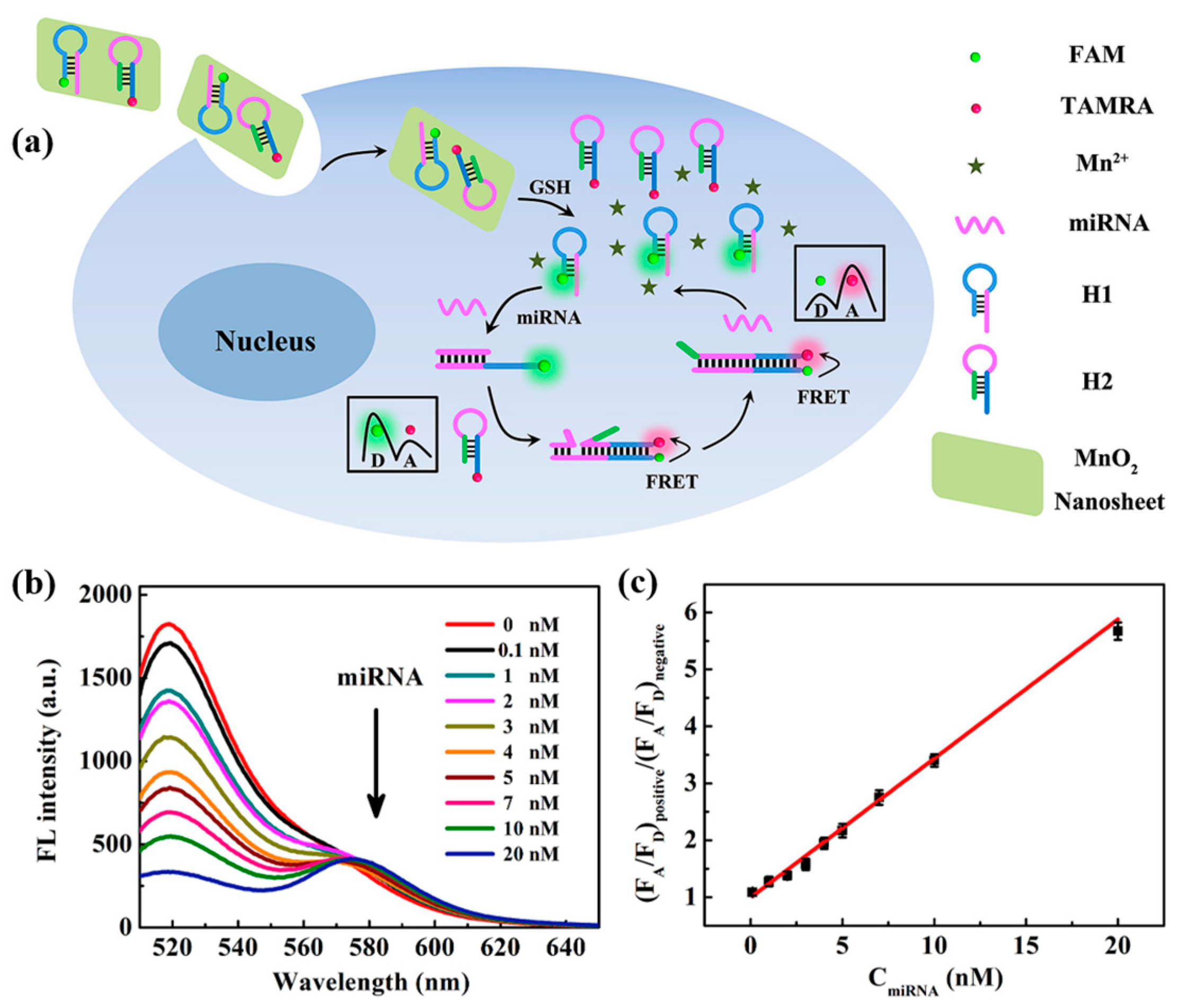 Chemosensors | Free Full-Text | MicroRNA Biosensors for Early Detection ...