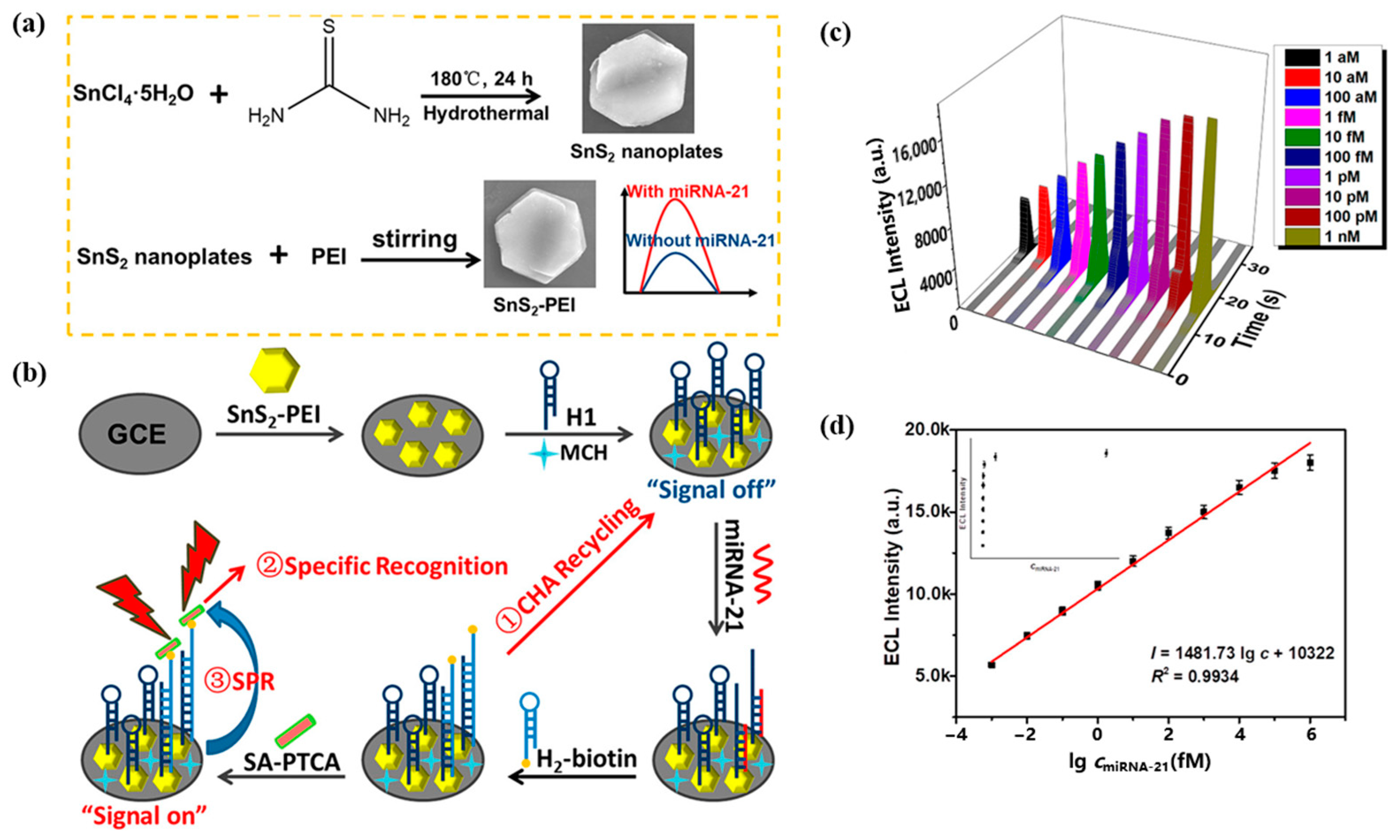 Chemosensors | Free Full-Text | MicroRNA Biosensors for Early Detection ...